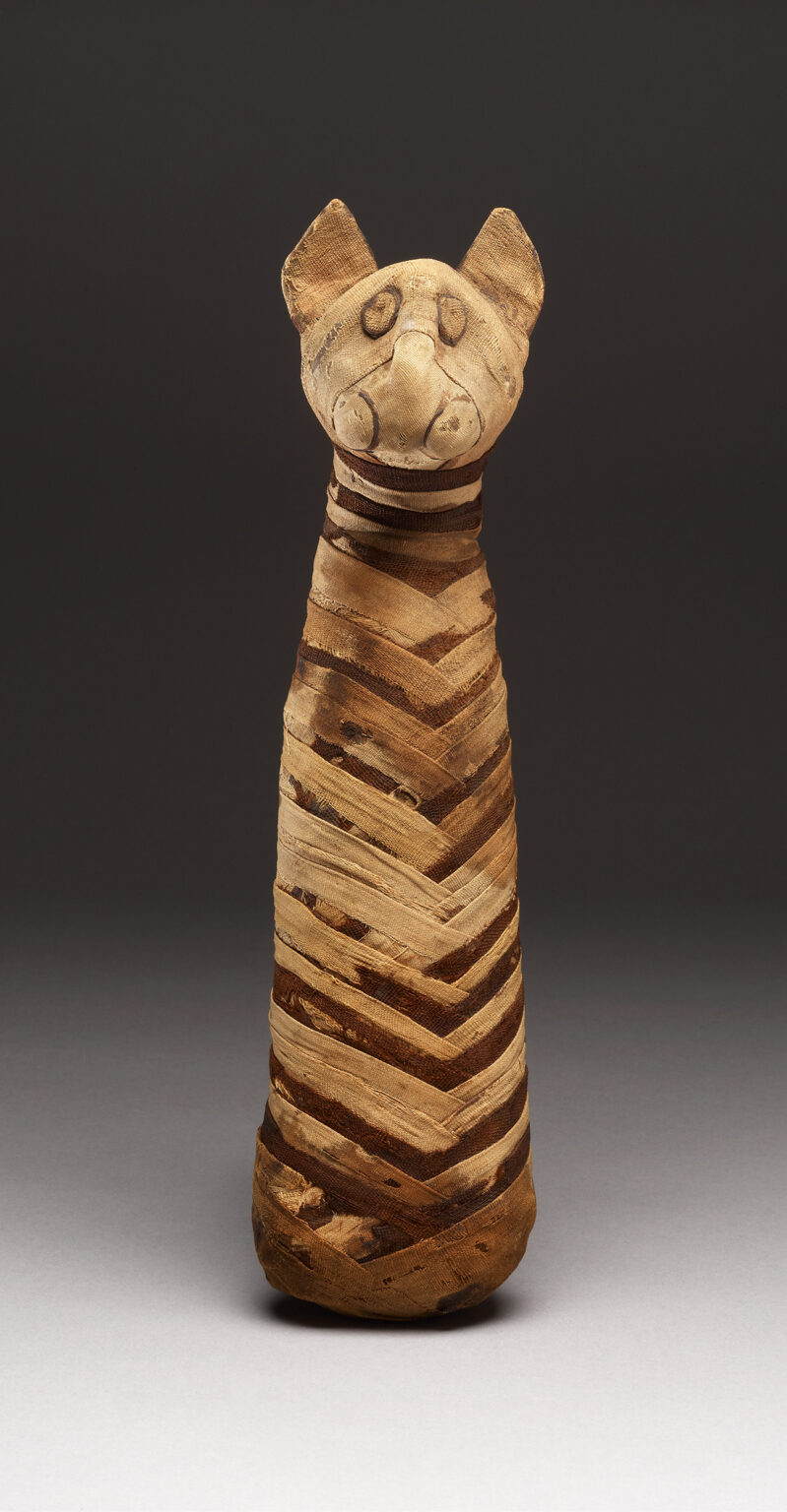 Baboon eating fruit; legal text on reverse - Networks of the Past: A ...